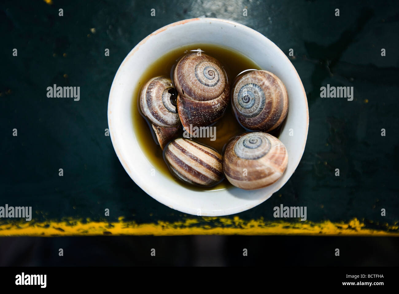 Snail soup hi-res stock photography and images - Alamy