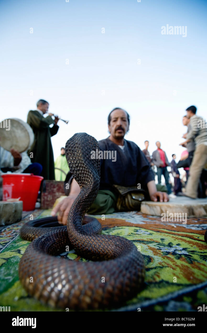 Marrakech medina snake hi-res stock photography and images - Alamy