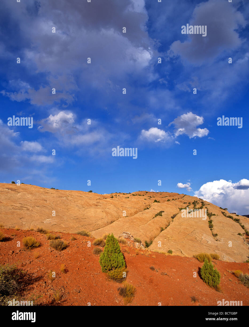 Sandstone structure, Zion National Park, Utah, USA Stock Photo - Alamy