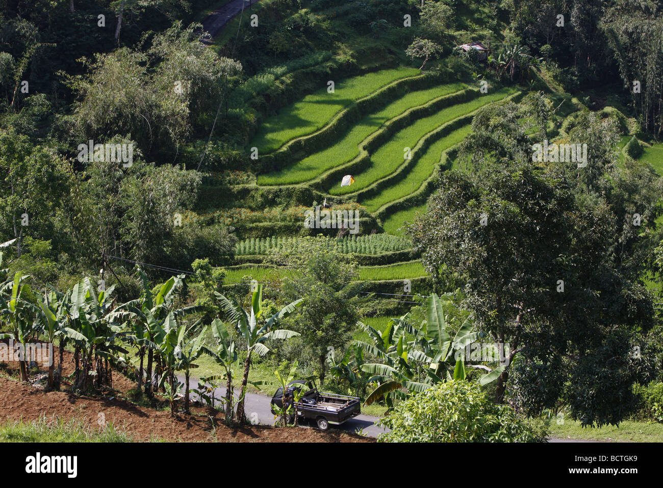 Terrace farming southeast asia hi-res stock photography and images - Alamy
