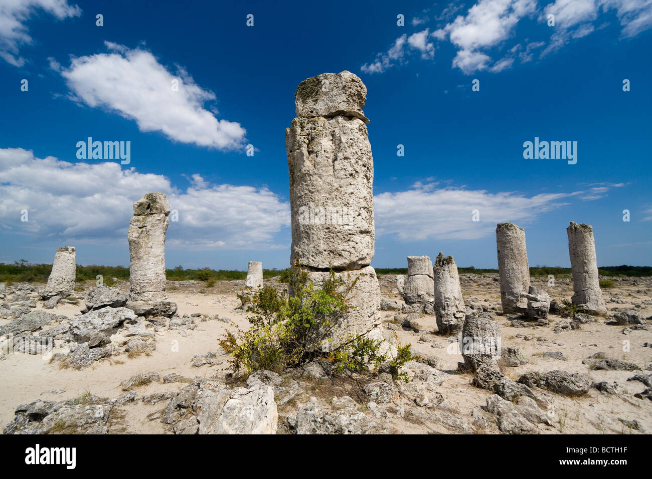 Pobiti Kamani (Standing Stones) Natural Phenomenon near Varna, Bulgaria ...