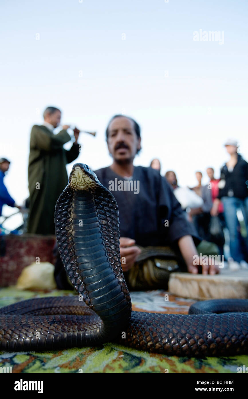A snake charmer and his (toothless) cobra snake at Djemaa el Fna, the ...