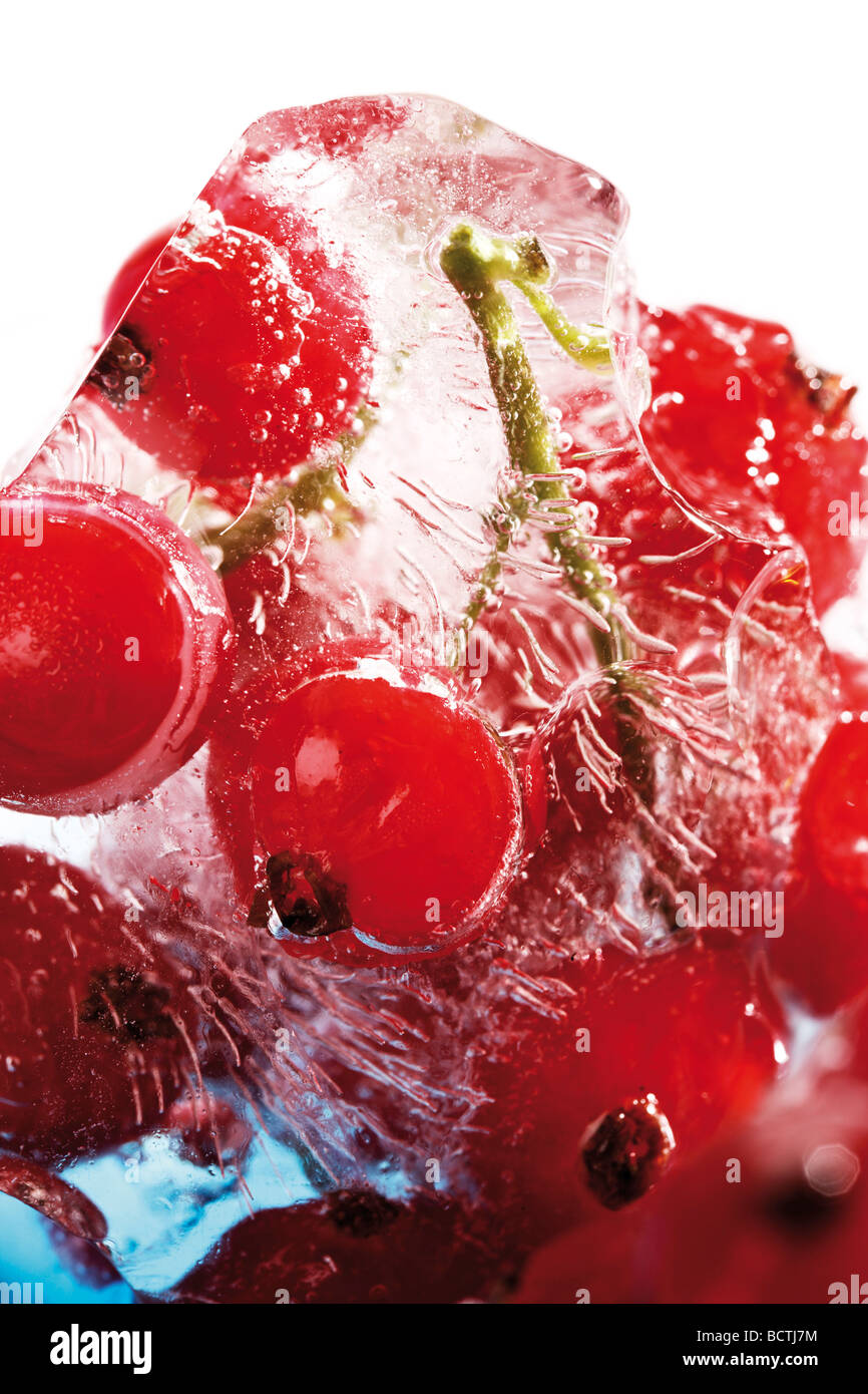 Redcurrants frozen, in a block of ice Stock Photo - Alamy