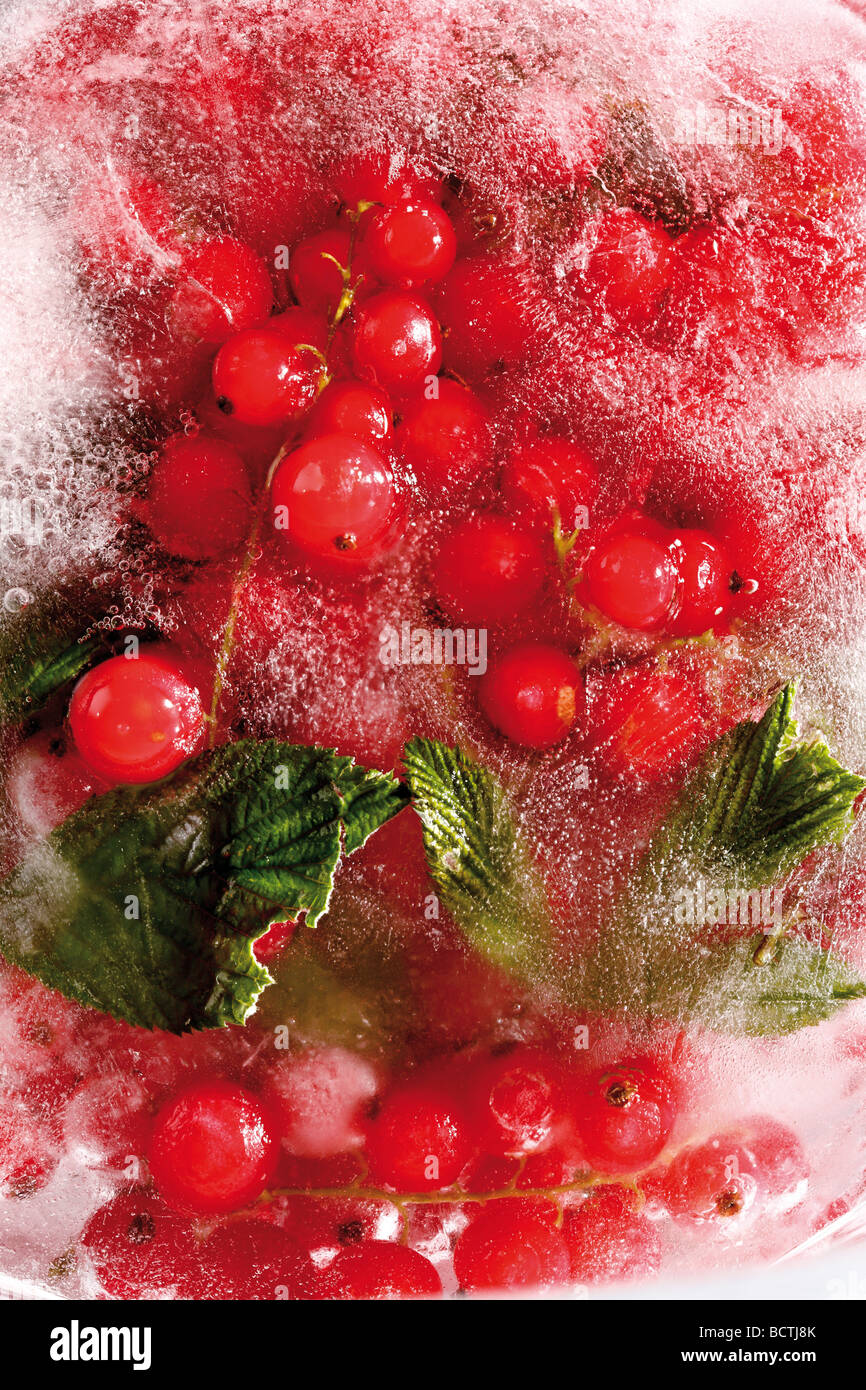 Redcurrants frozen, in a block of ice Stock Photo - Alamy