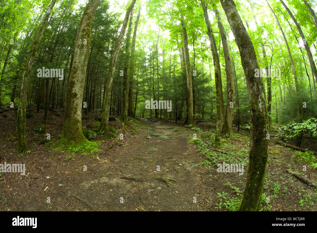 Warped hi-res stock photography and images - Alamy