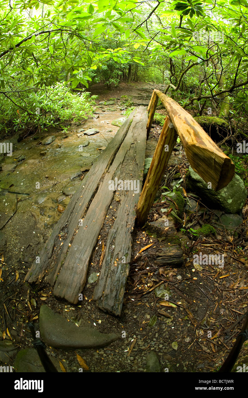 Log Footbridge Nature Trail Scenics Great Smoky Mtns Nat Park TN Stock ...
