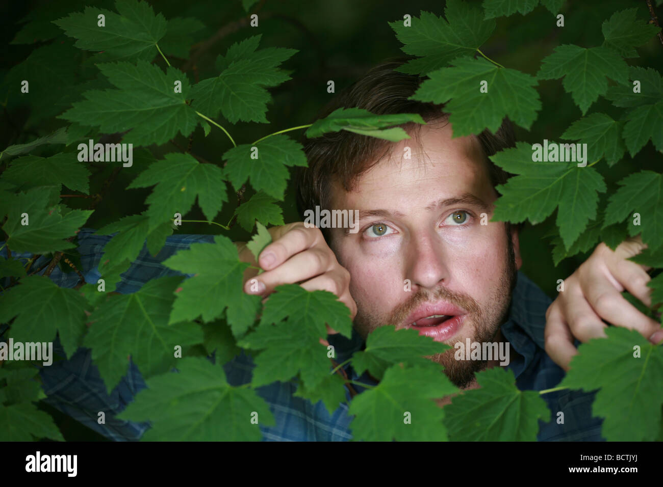 Man looking through the foliage, at a mysterious scene Stock Photo - Alamy