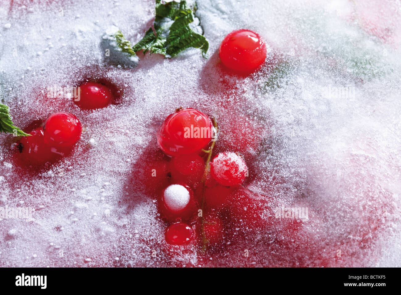 Frozen redcurrant hi-res stock photography and images - Alamy