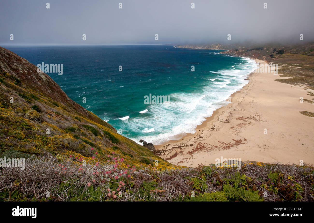 Big sur beach beautiful hi-res stock photography and images - Alamy