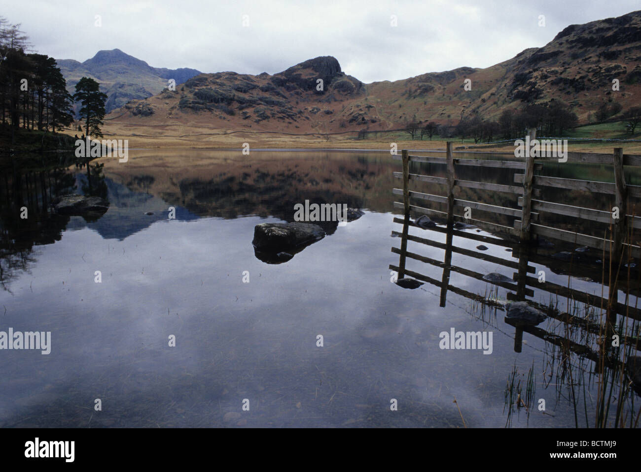Blea Tarn in the Lake District Stock Photo - Alamy