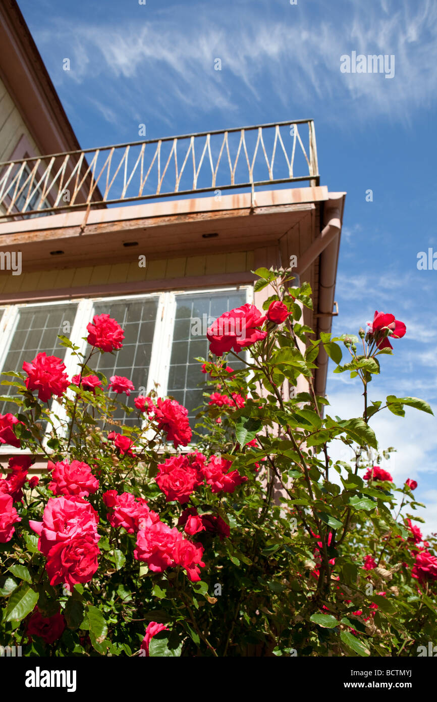 Steninge castle sweden hi-res stock photography and images - Alamy