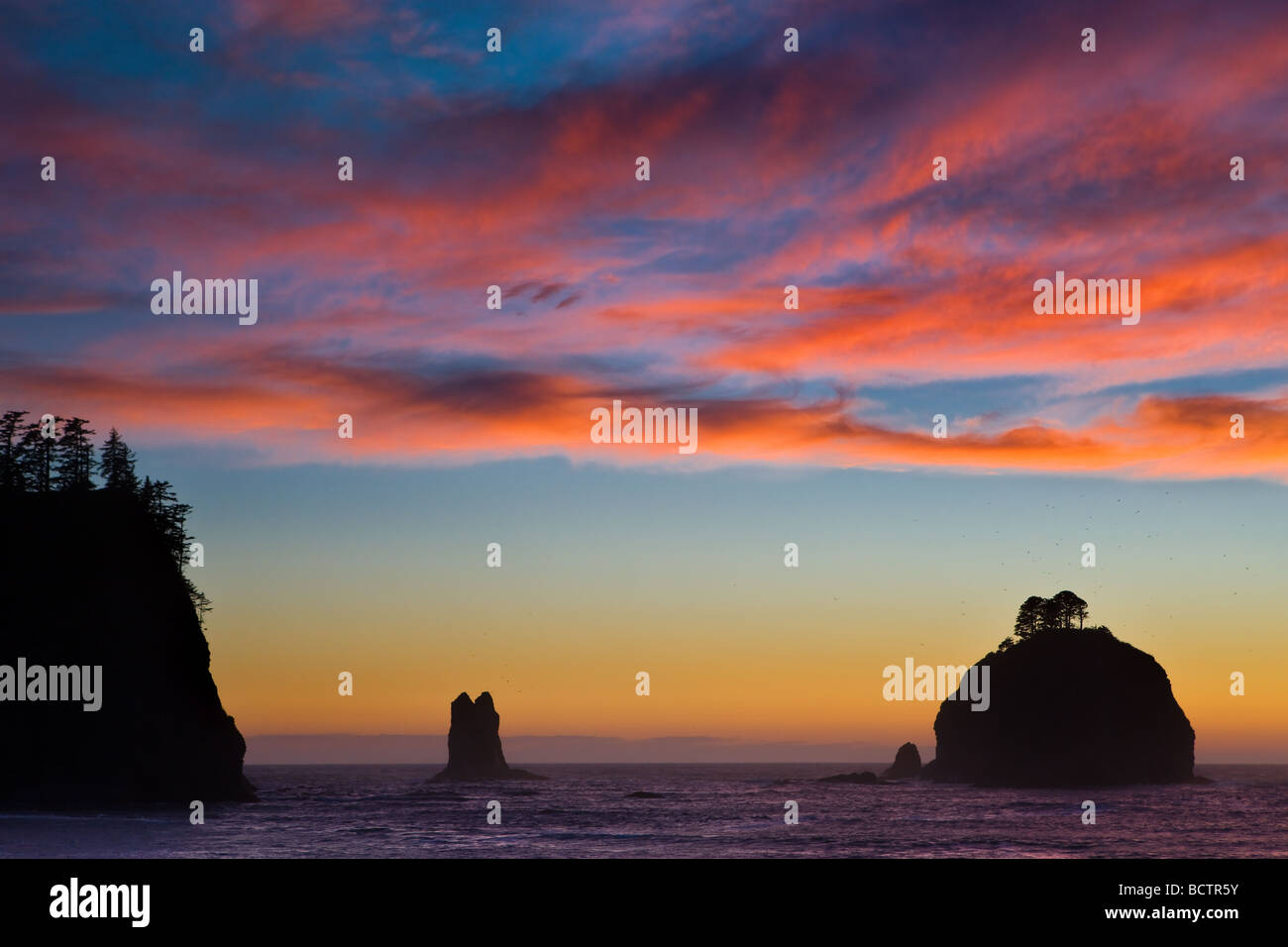 Sunset La Push Beach in Olympic National Park, Washington State, USA ...