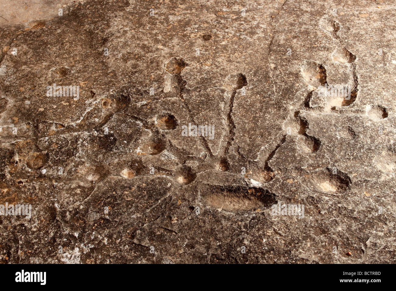 Stone age engravings hi-res stock photography and images - Alamy
