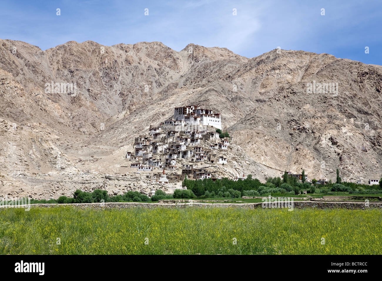 Chemrey Monastery. Ladakh. India Stock Photo - Alamy