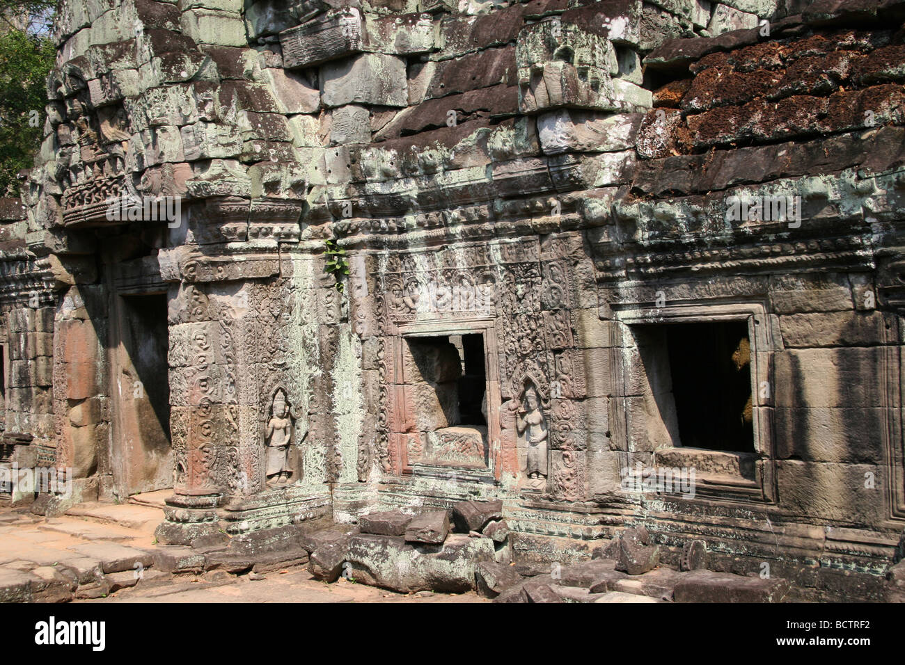 Ta Prohm ruins, old temple in Cambodia, near Angkor Wat Stock Photo - Alamy