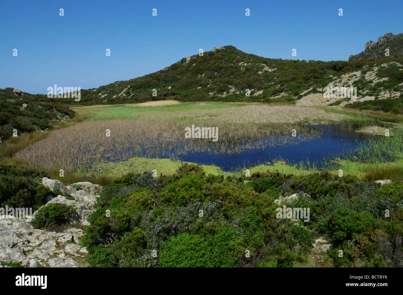 Stagnone hi-res stock photography and images - Alamy