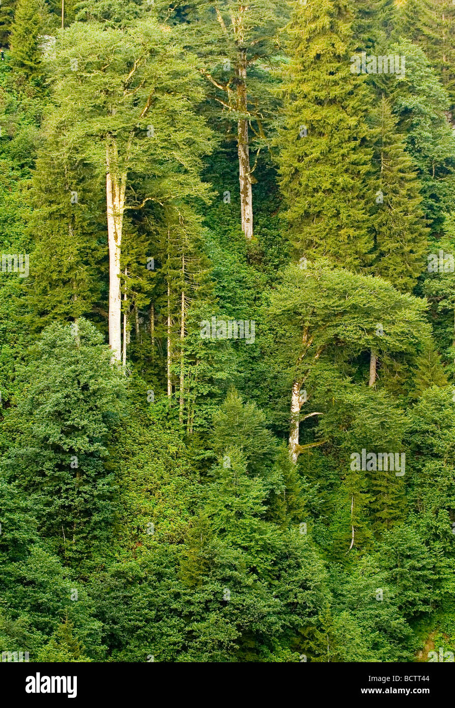 Kachkar hi-res stock photography and images - Alamy