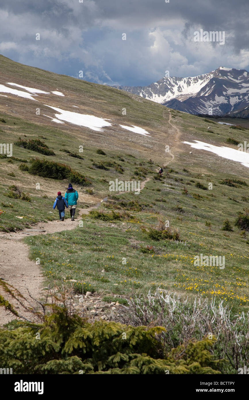 Hikers on Trail Above Tree Line in Rocky Mountain National Park Stock ...