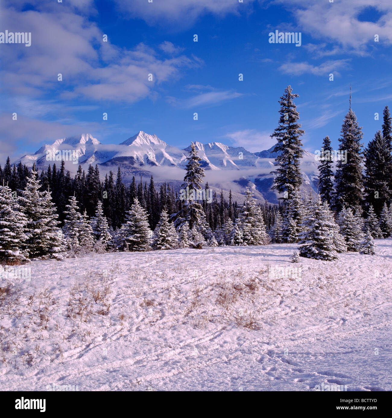 Animal Tracks in Snow and the Mitchell Range in Winter in Kootenay ...