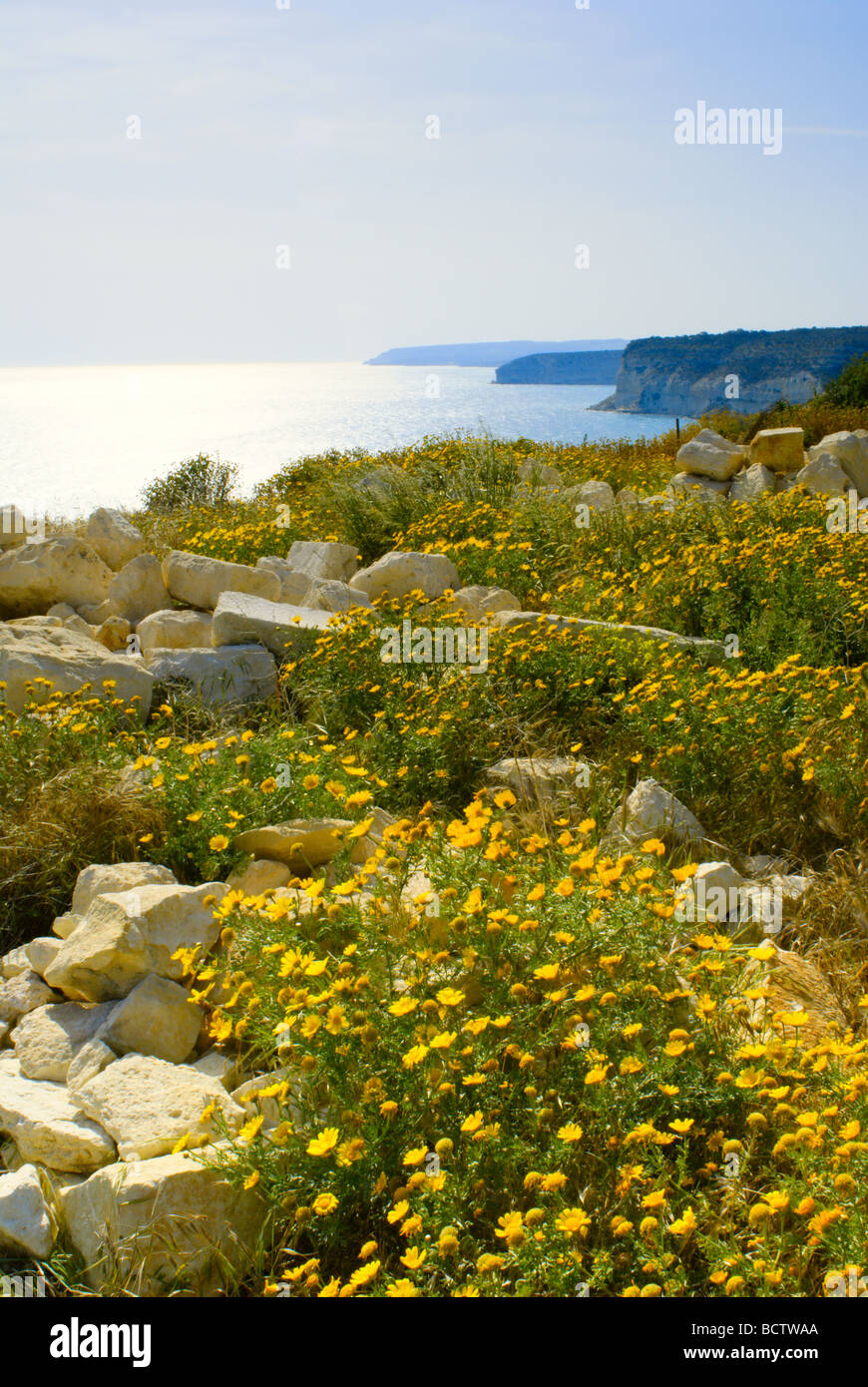 Beautiful Nature of Cyprus, Pafos Stock Photo - Alamy