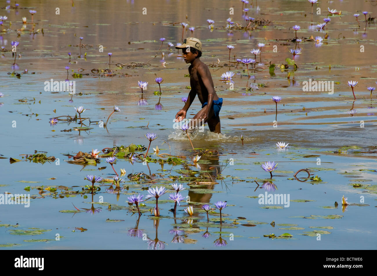 boy looking for fish in a lake in the highlands of Madagascar Stock ...