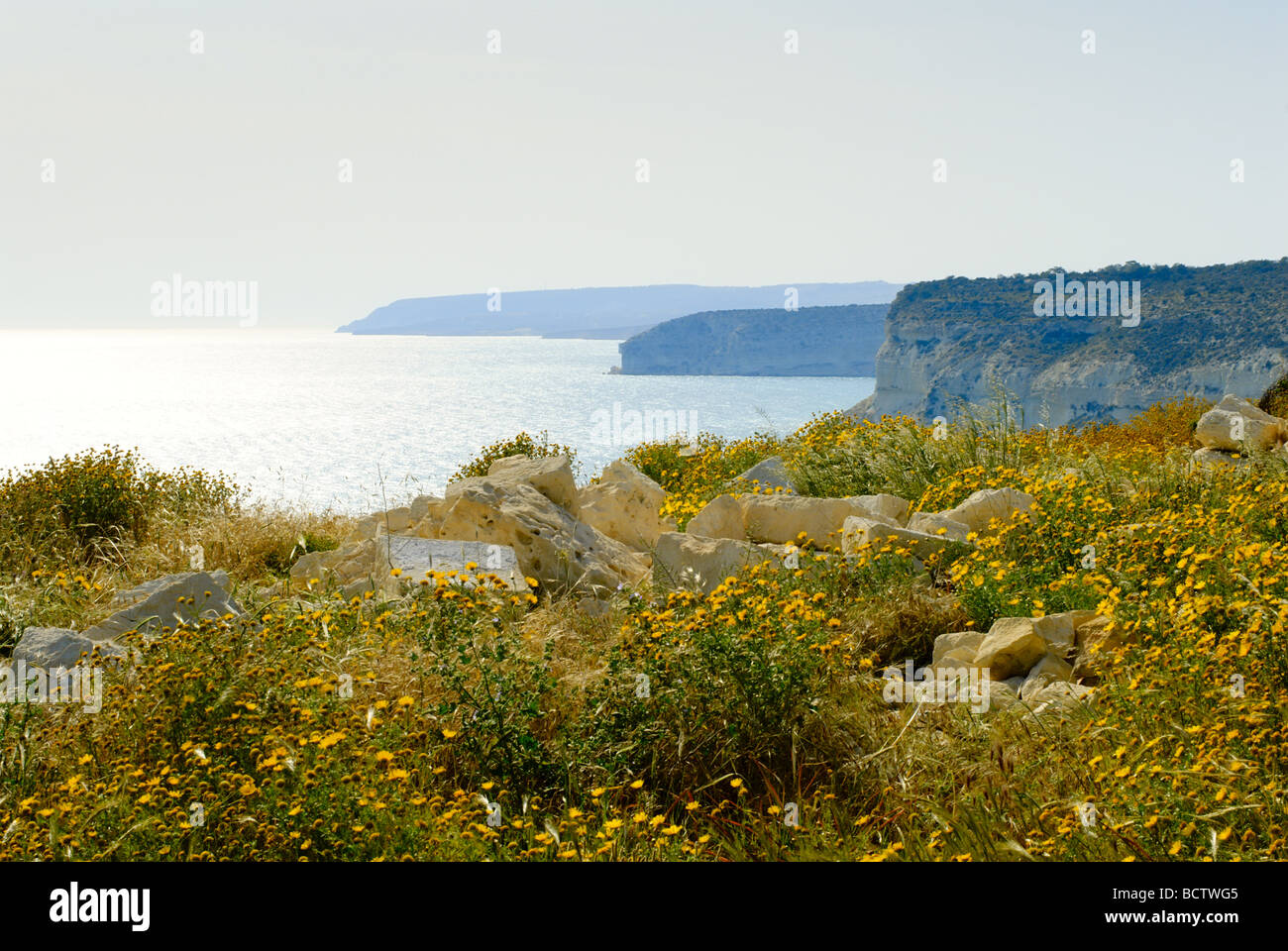 Beautiful Nature of Cyprus, Pafos Stock Photo - Alamy