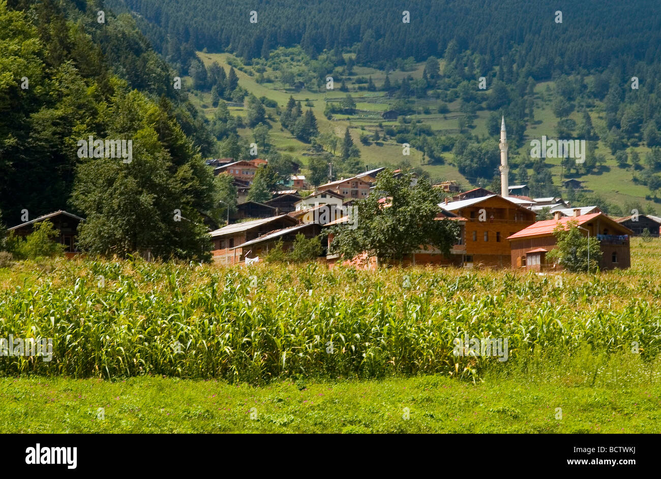 Ozungul hi-res stock photography and images - Alamy