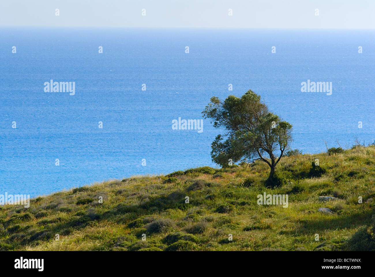 Beautiful Nature of Cyprus Stock Photo - Alamy