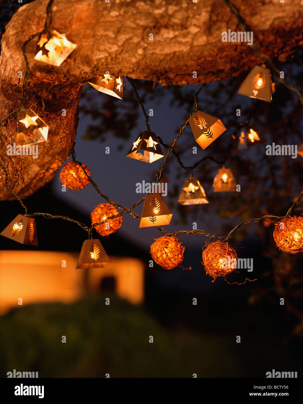 Amber lights lit up at a tree trunk Stock Photo - Alamy