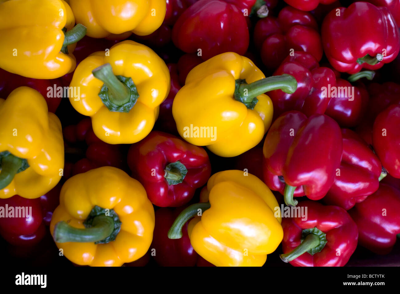 Capsicum red and yellow hi-res stock photography and images - Alamy
