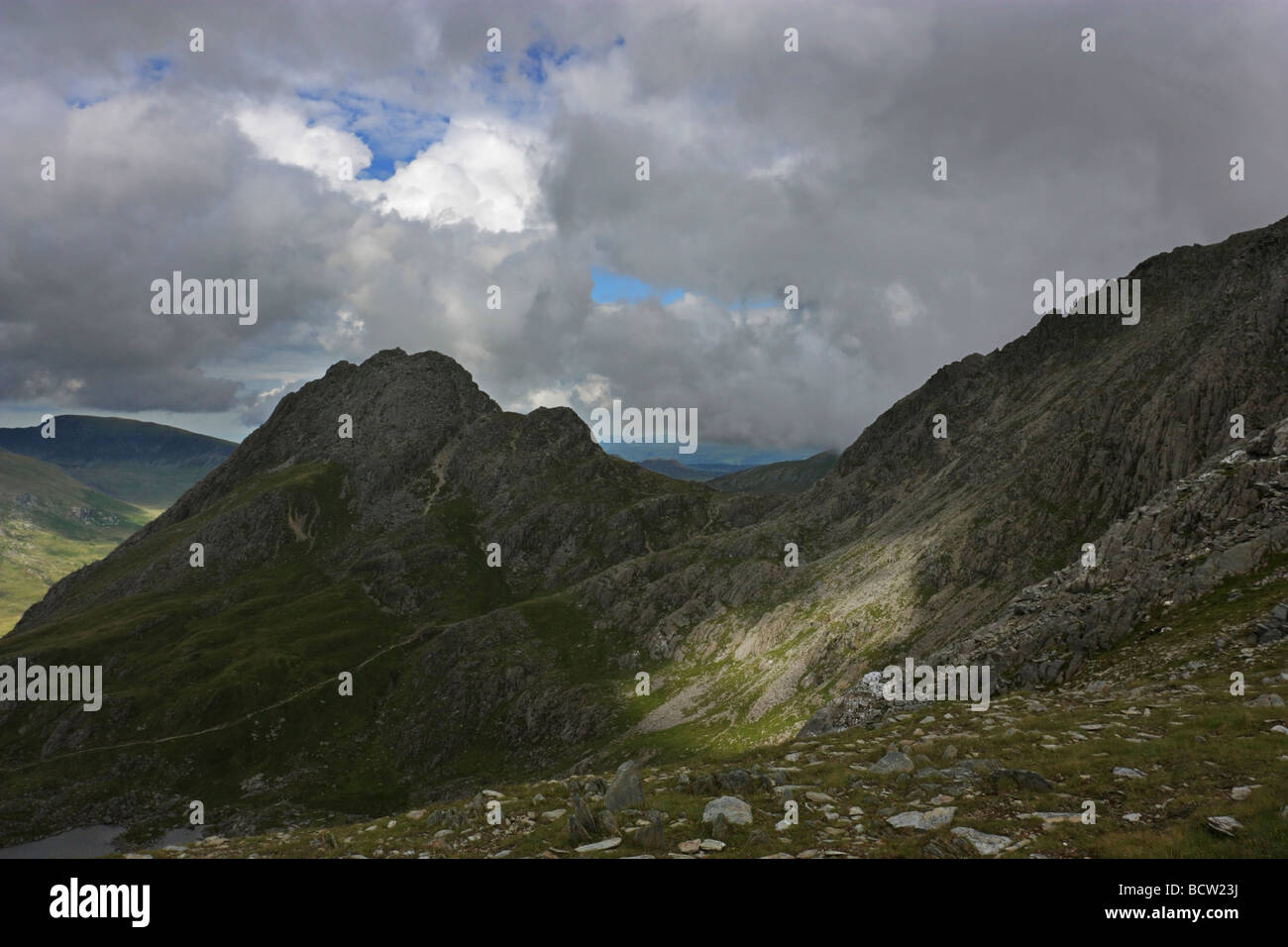 Bristly ridge hi-res stock photography and images - Alamy