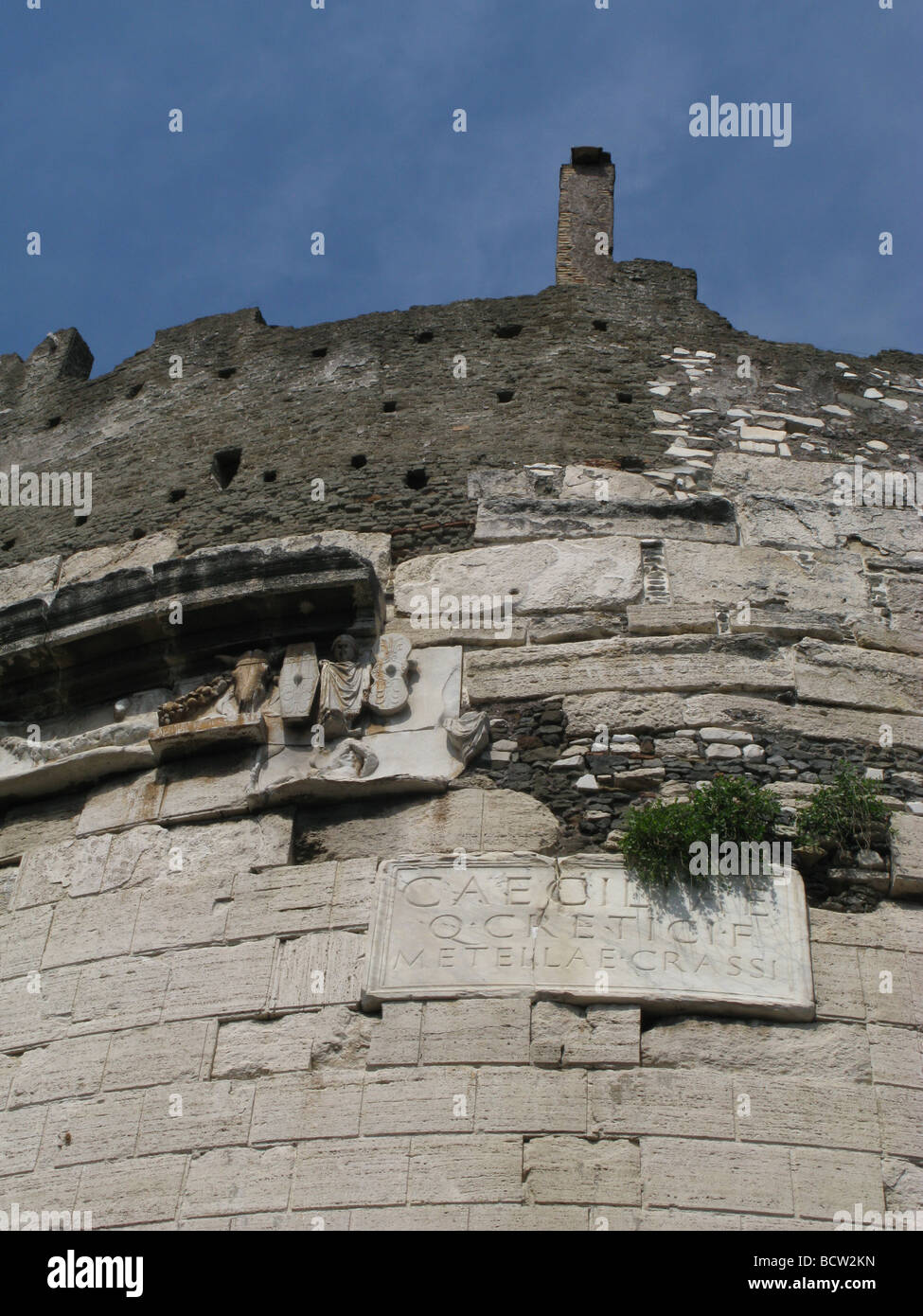 Field metella hi-res stock photography and images - Alamy