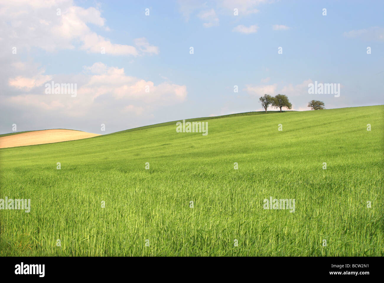 landscape with acre Stock Photo - Alamy