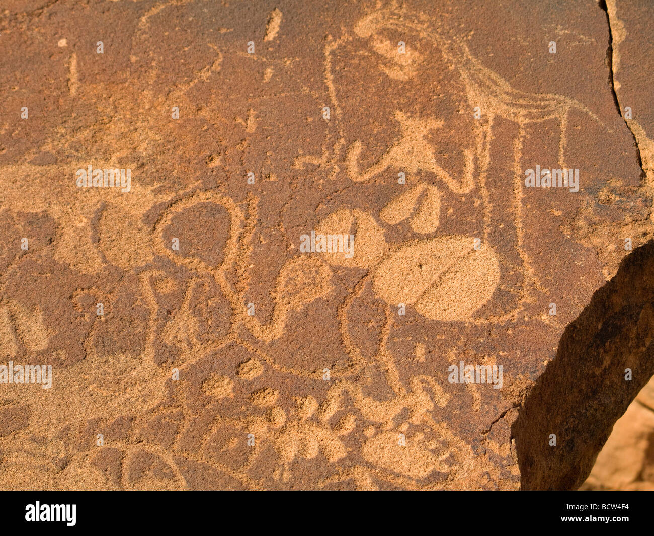 Petroglyphs in Twyfelfontein, Namibia, Africa Stock Photo - Alamy