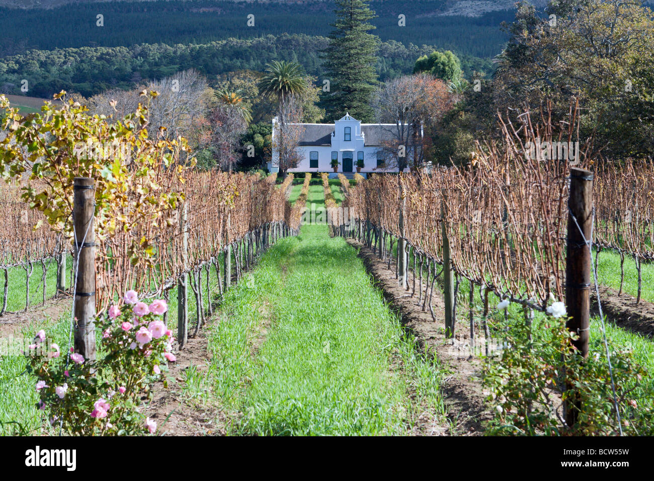 Cape dutch hi-res stock photography and images - Alamy