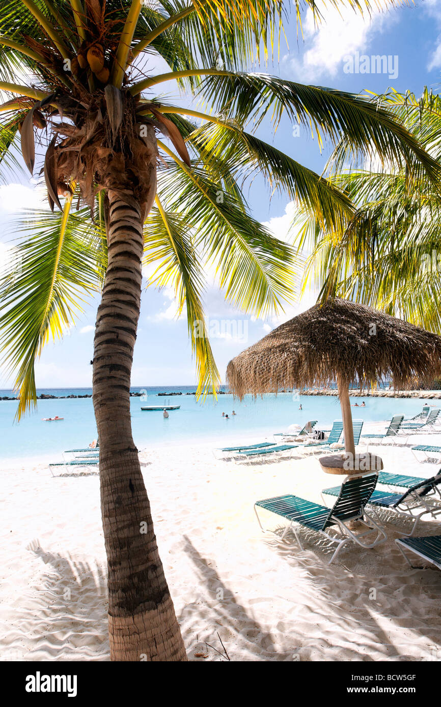 Iguana Beach with Palm Trees and Palapa, Renaissance Island, Aruba ...