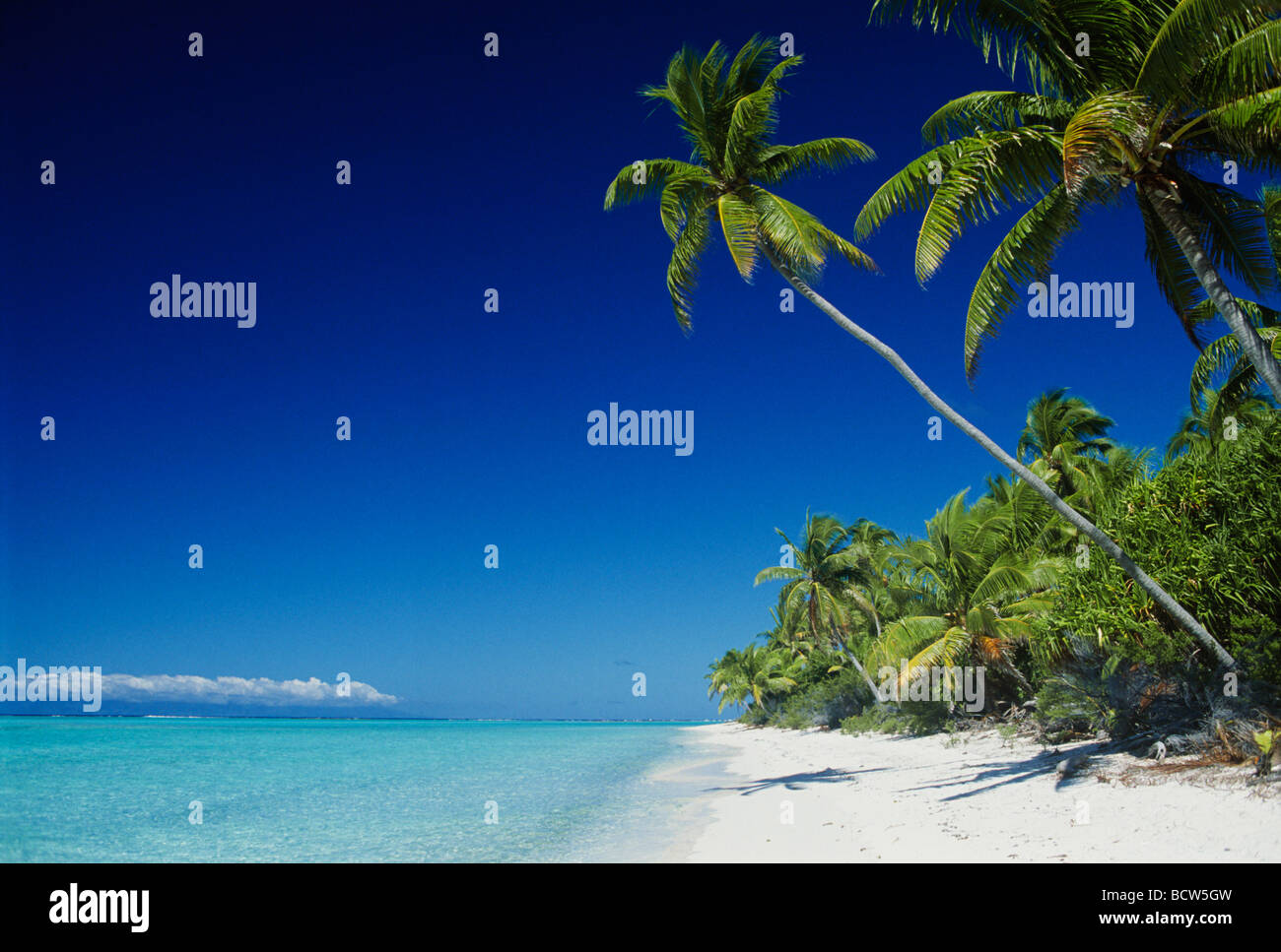 Tetiaroa, Tahiti High Resolution Stock Photography and Images - Alamy