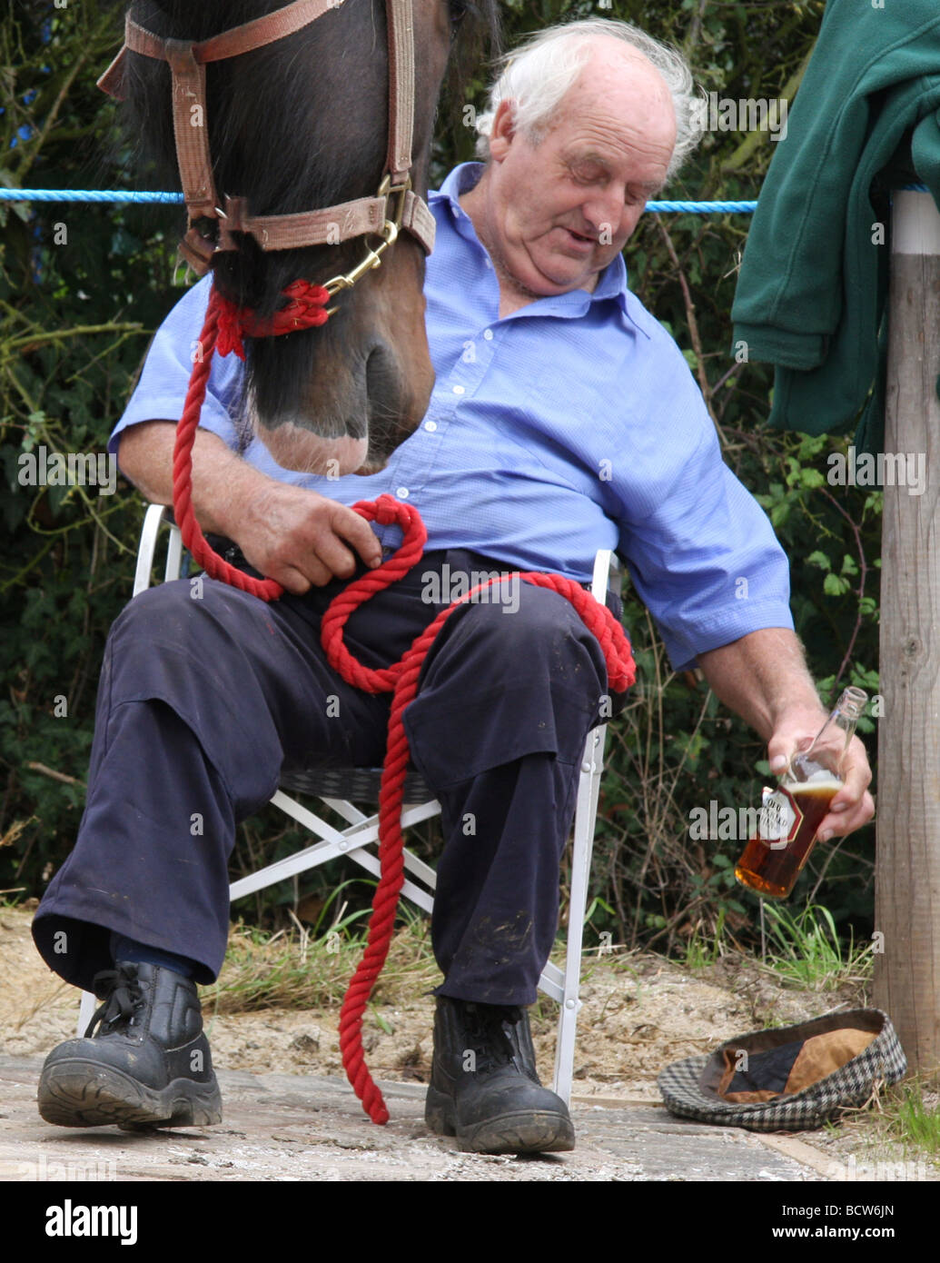 Young Man Shoeing Horse Stock Photo - Alamy