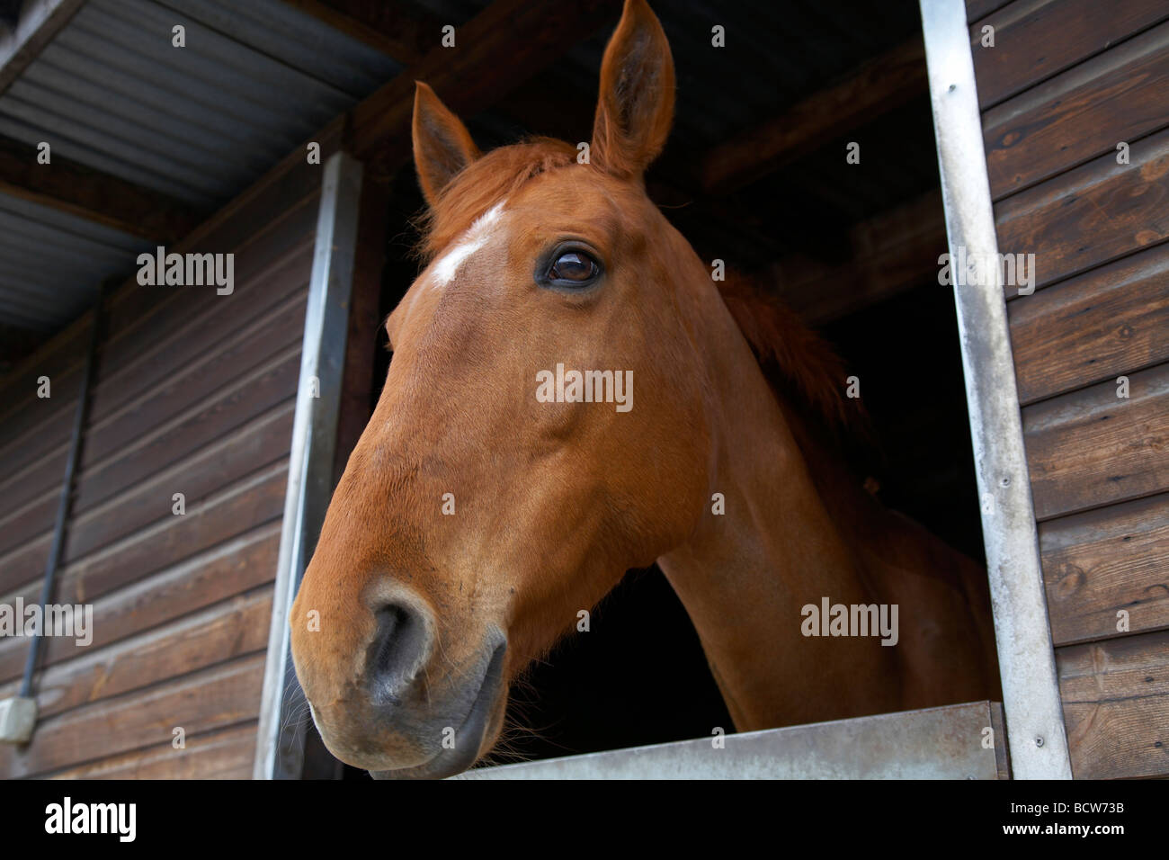 Timber stable block hi-res stock photography and images - Alamy