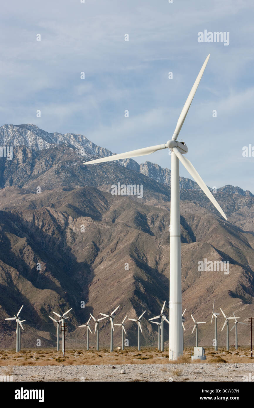 Wind turbines generating electricity on the San Gorgonio Pass Wind Farm ...