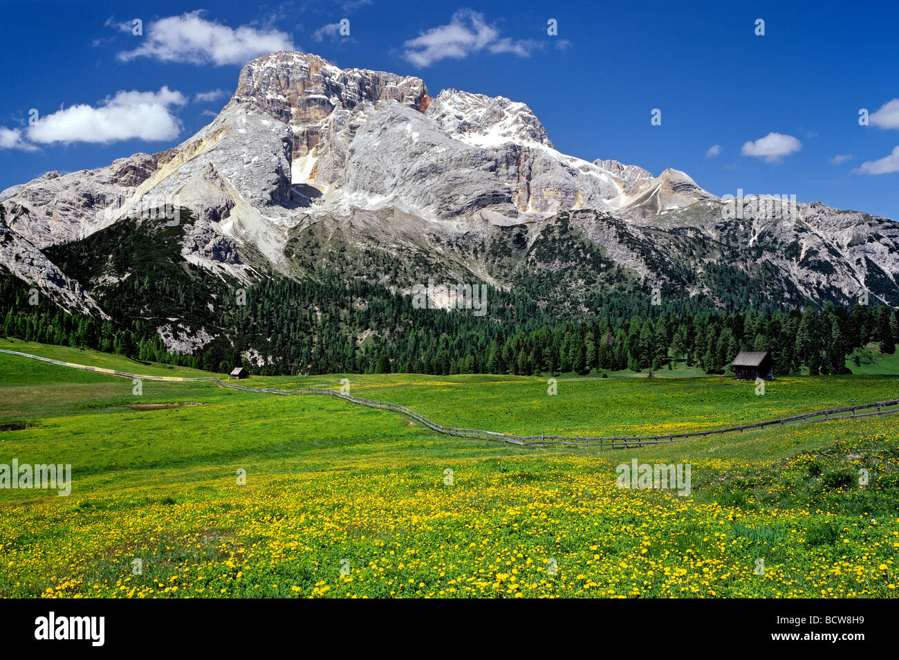 Plaetzwiese high plateau, Hohe Gaisl mountain, Pragser Dolomites, South ...