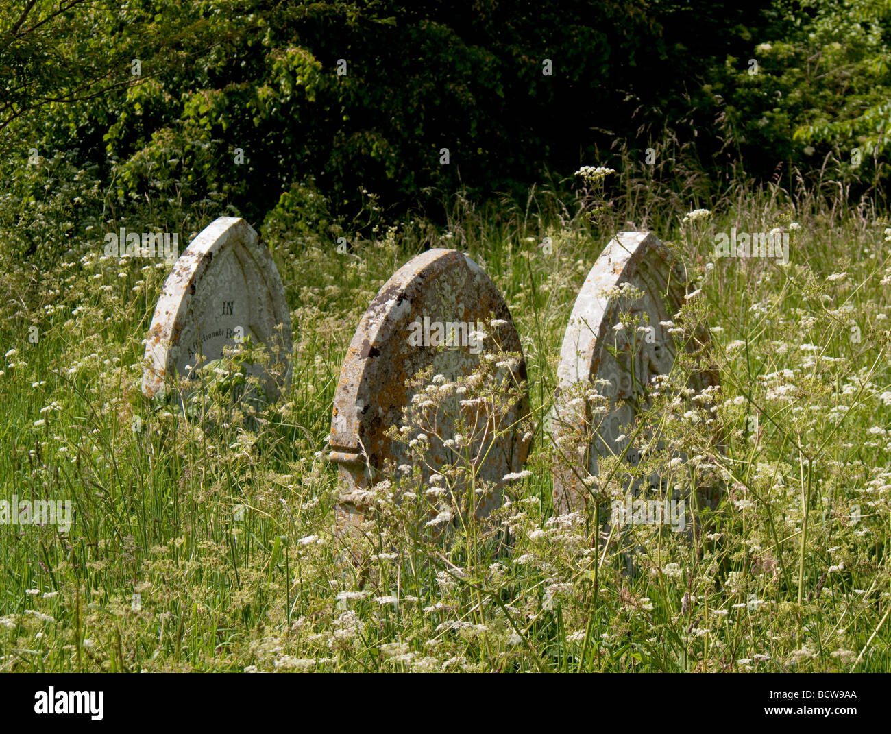 Overgrown grave hi-res stock photography and images - Alamy