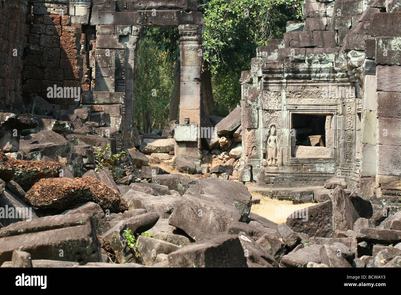 Ta Prohm ruins, old temple in Cambodia, near Angkor Wat Stock Photo - Alamy