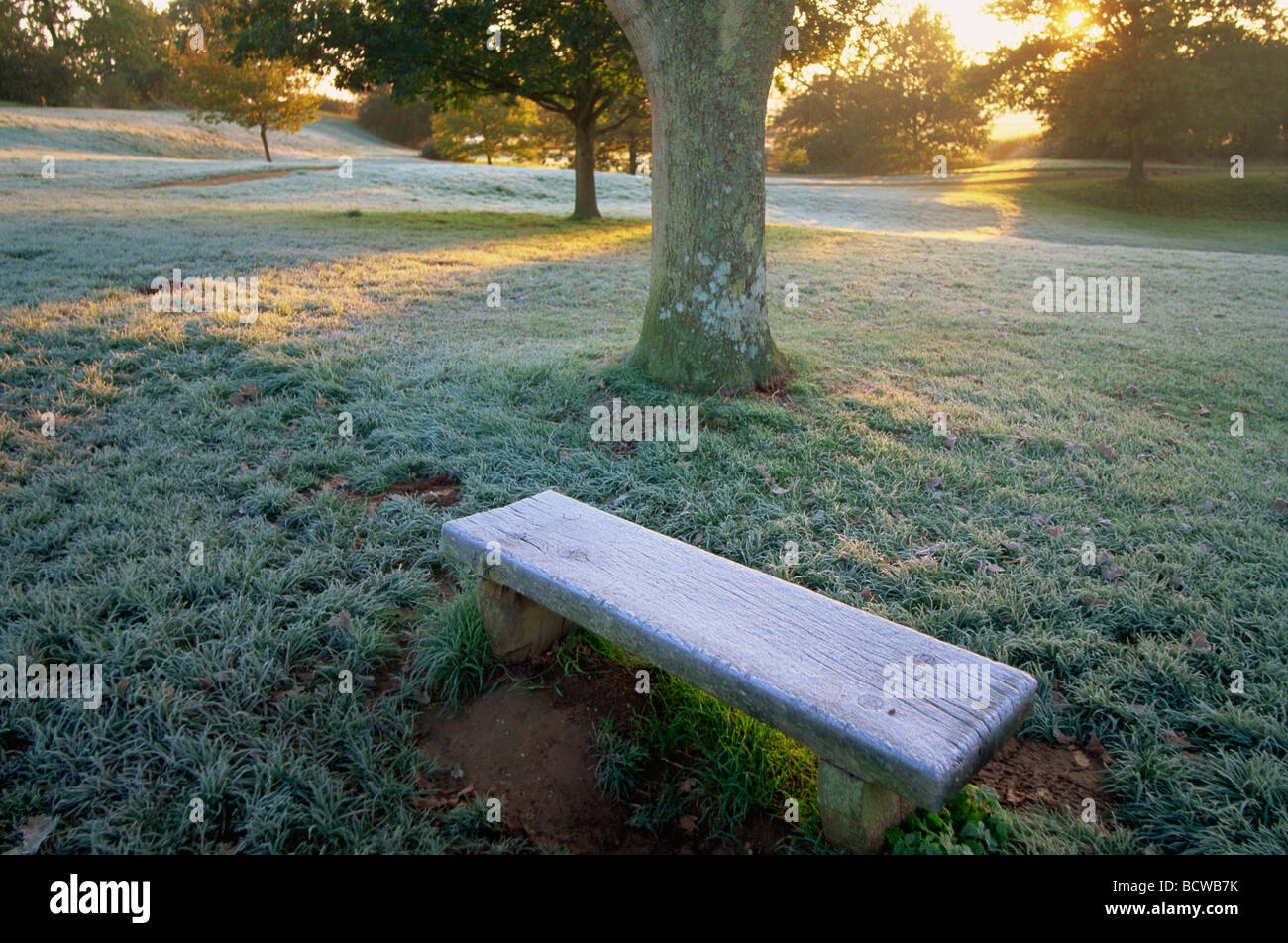 The england bench hi-res stock photography and images - Alamy