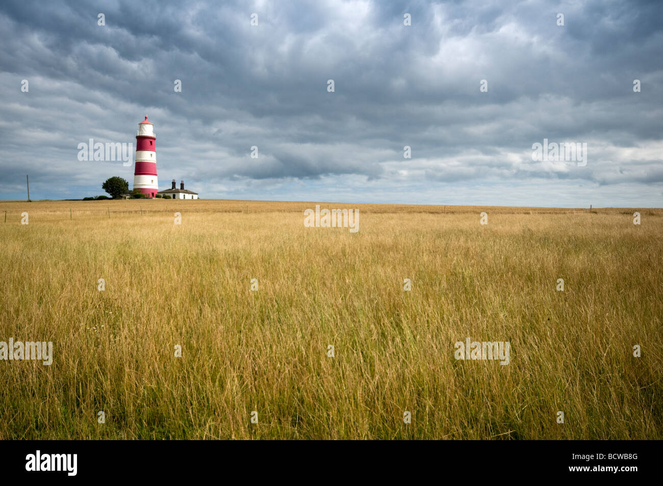 Happisburgh lighthouse with dark cloudy skies and fields of wheat in ...