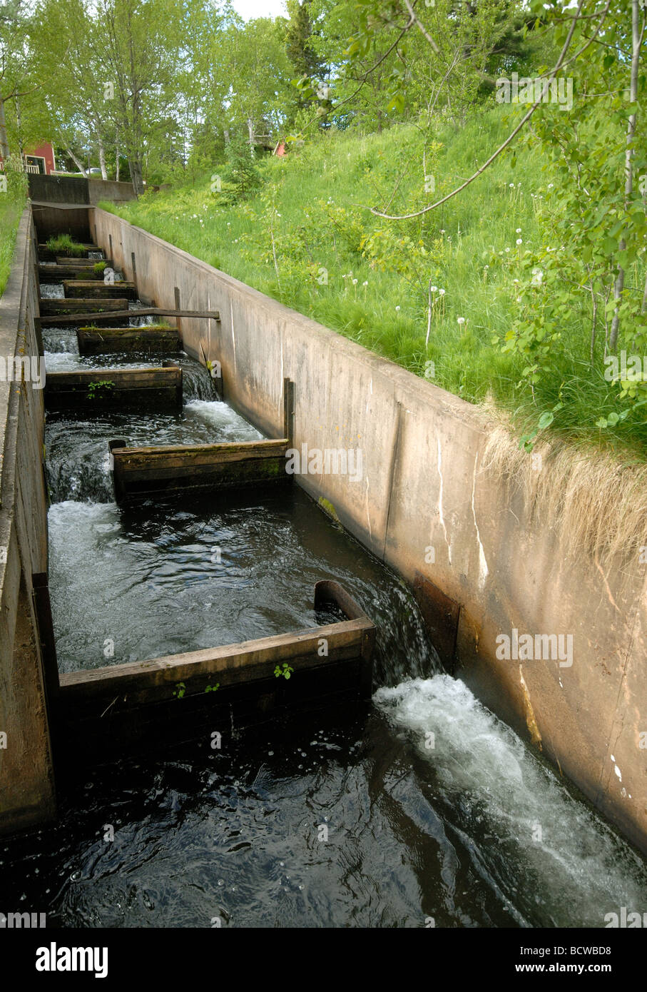 Fish ladder hi-res stock photography and images - Alamy