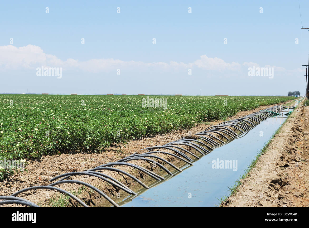 Flood irrigation hi-res stock photography and images - Alamy