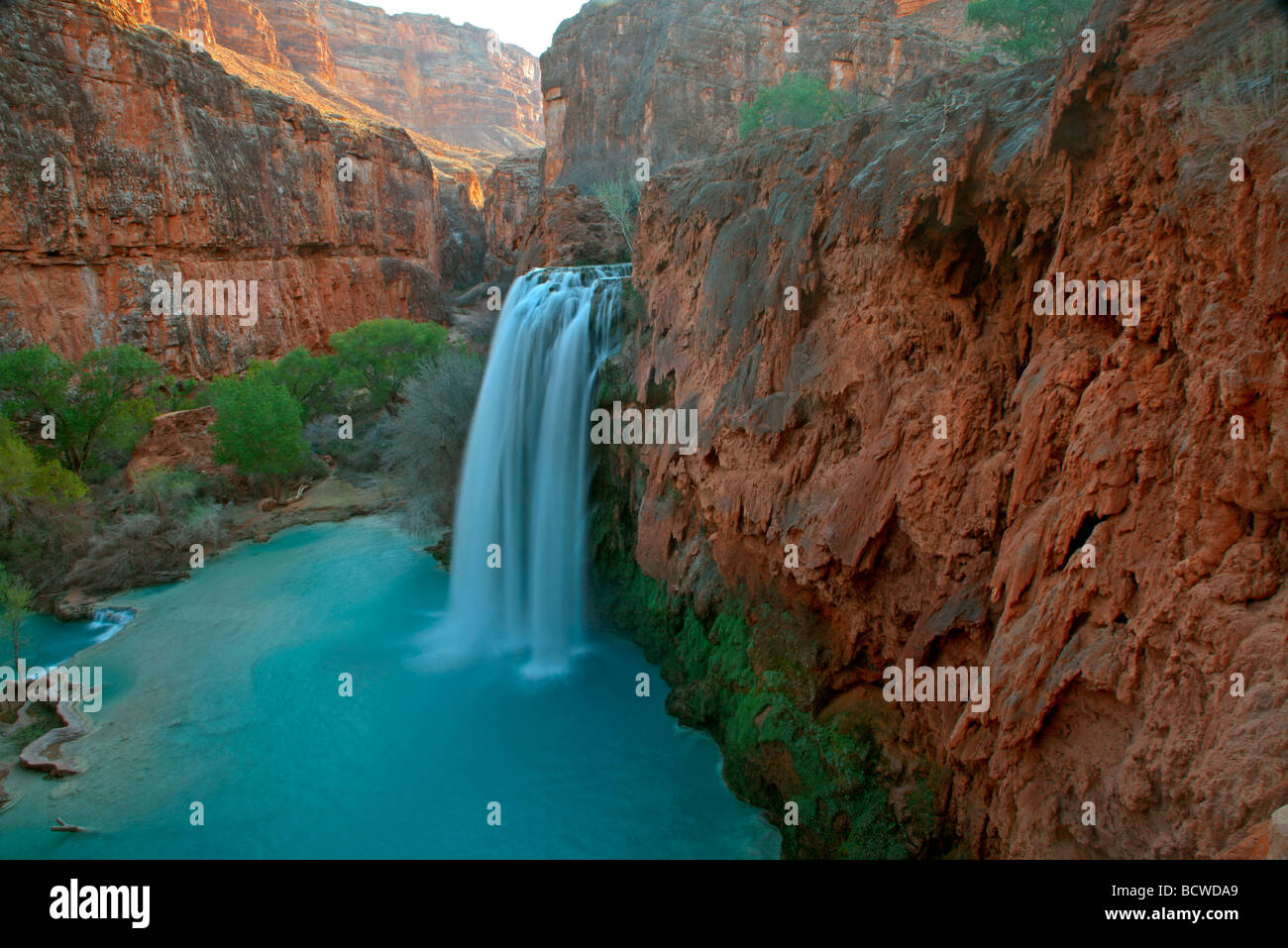 Waterfall in a forest, Havasu Falls, Havasupai Indian Reservation ...