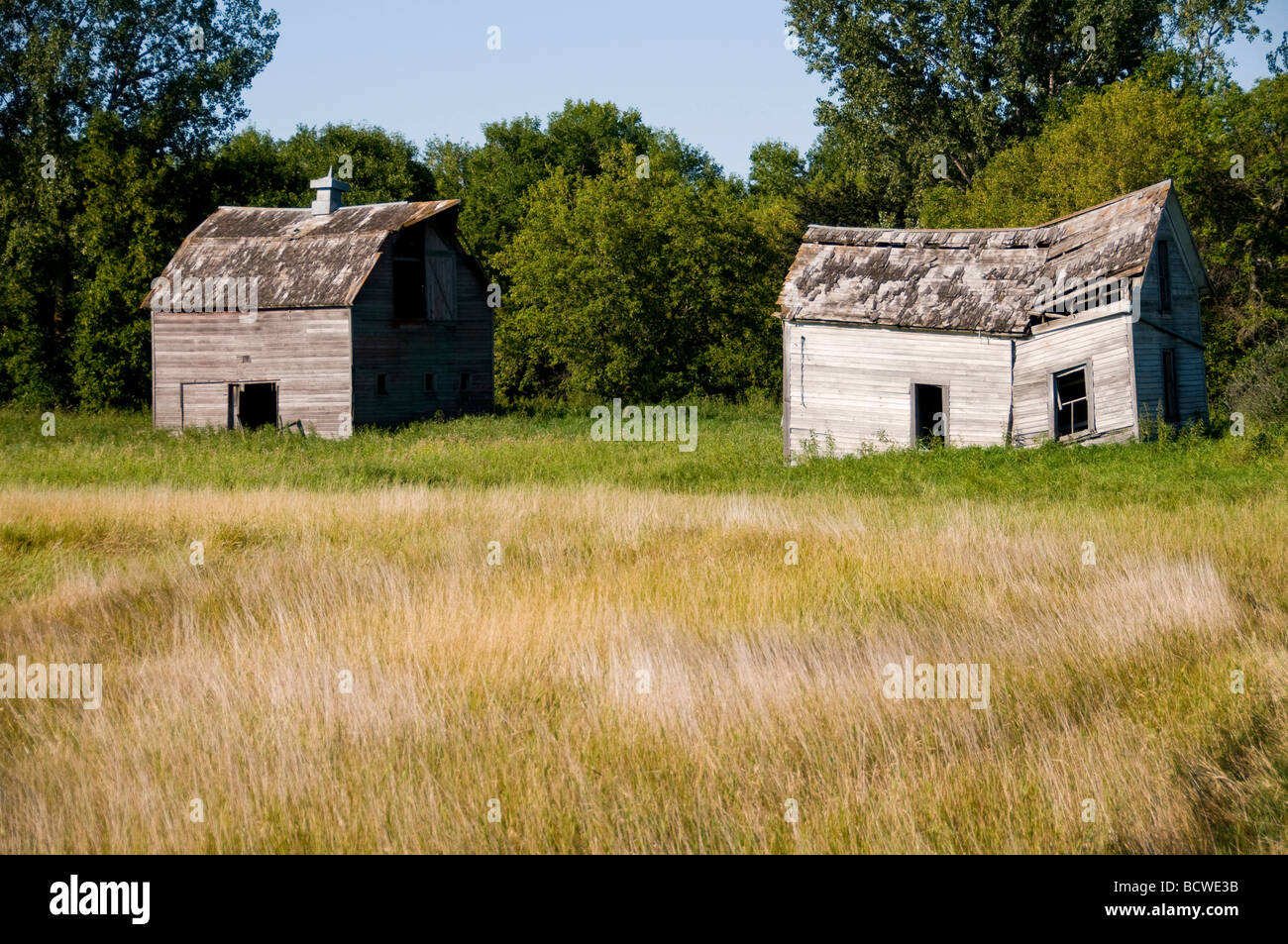 Old farmhouses in a field Stock Photo - Alamy