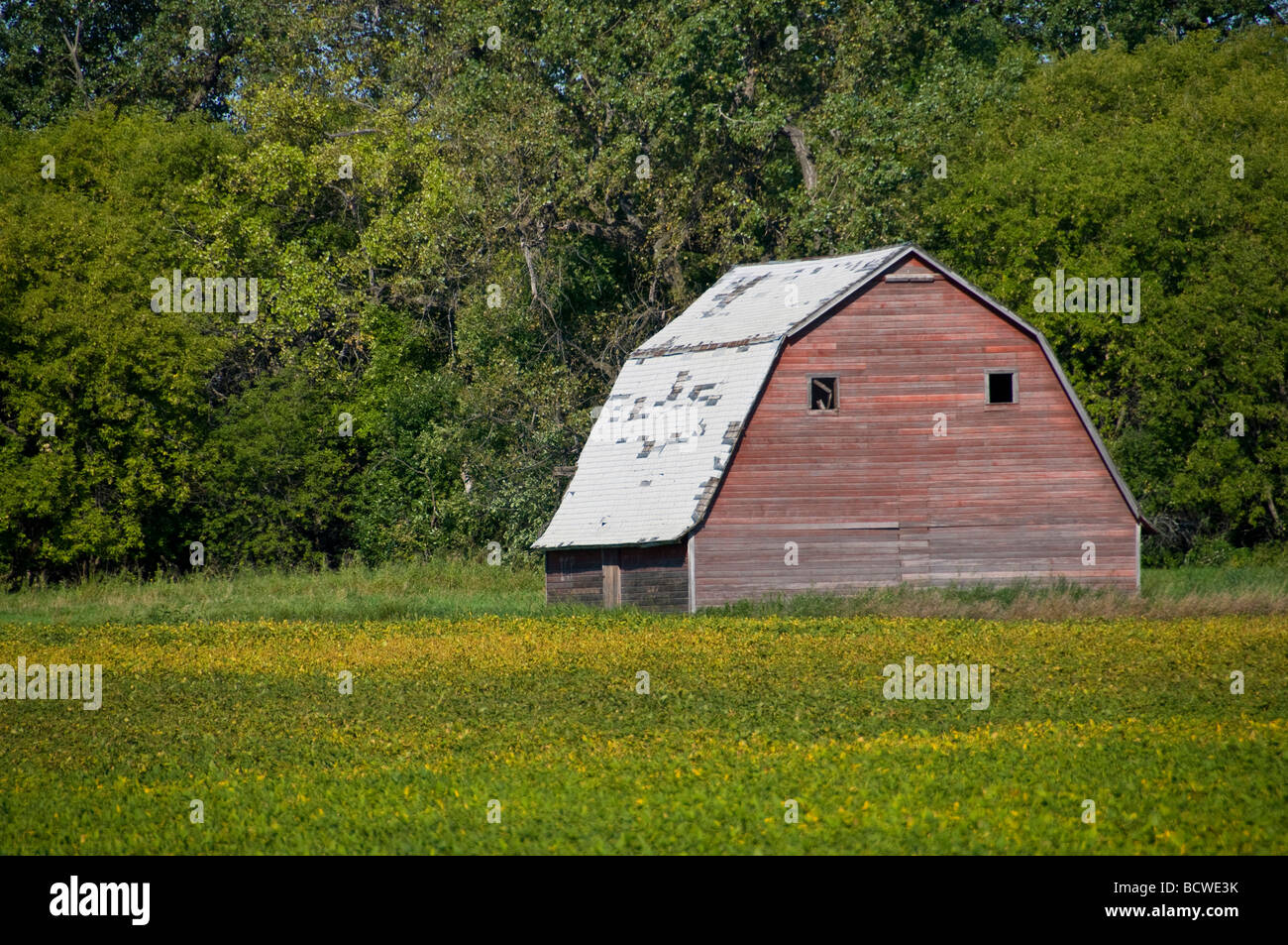 Green field red barn hi-res stock photography and images - Alamy